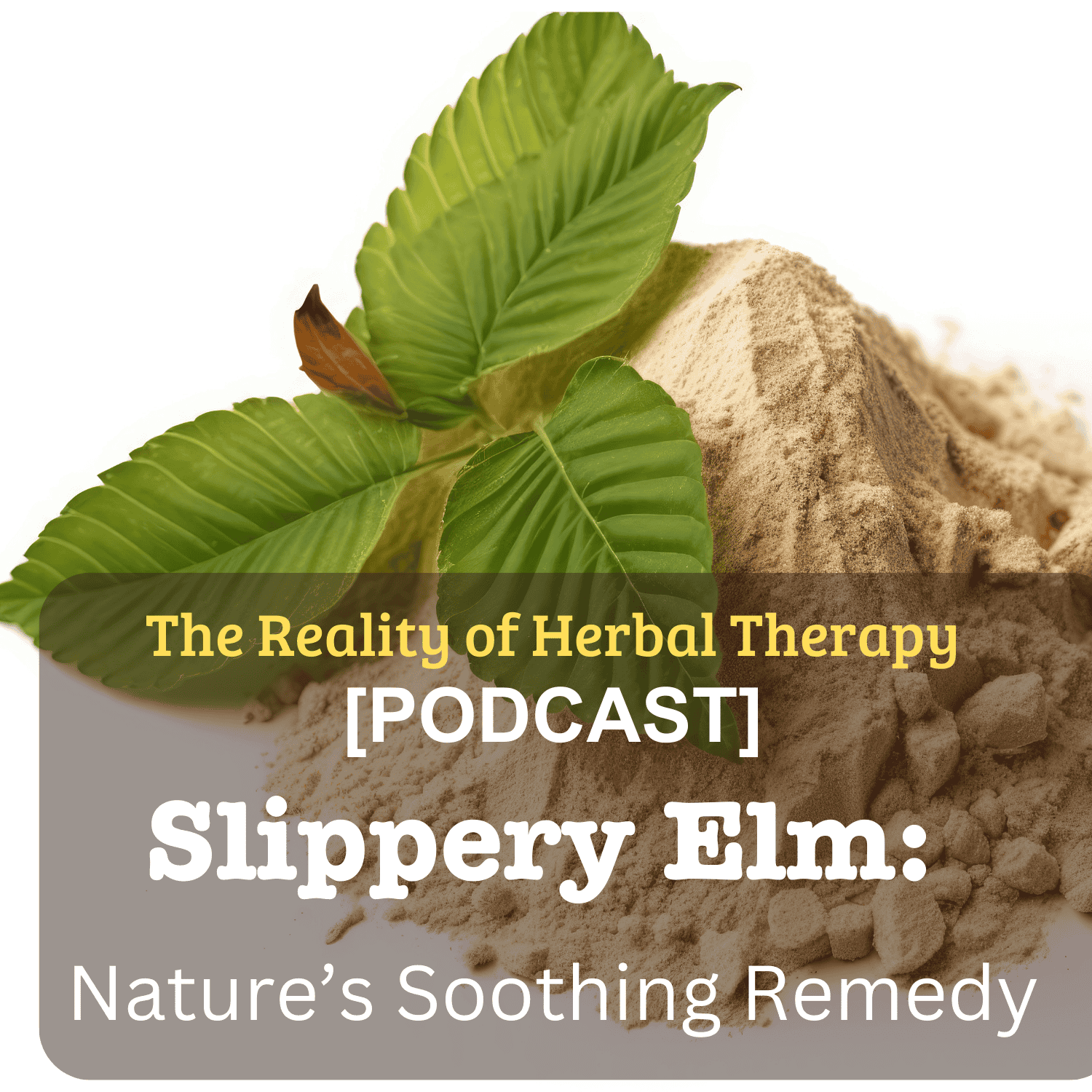[Podcast] Slippery Elm — Nature’s Soothing Remedy